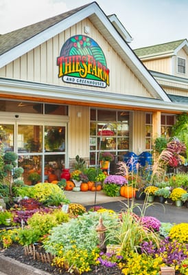 THIES FARM & GREENHOUSES - Updated December 2025 - 34 Photos & 21 ...
