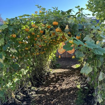 STOCKER FARMS - Updated September 2025 - 193 Photos & 130 Reviews ...