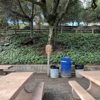 VASONA LAKE COUNTY PARK - Updated April 2025 - 1283 Photos & 439 ...