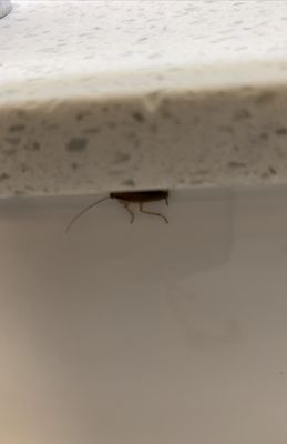 RADISSON HOTEL OAKLAND AIRPORT - Updated July 2024 - 186 Photos & 202 ...