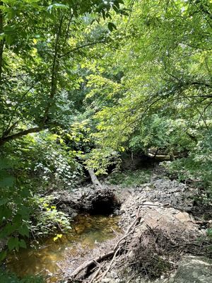 BELLS BEND PARK AND OUTDOOR CENTER - Updated December 2025 - 44 Photos ...