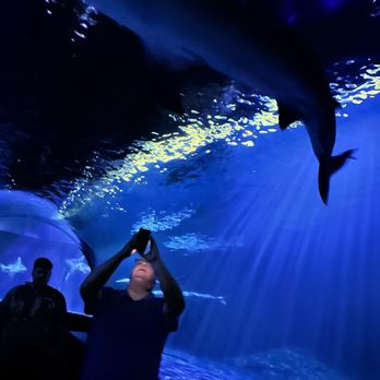 OKLAHOMA AQUARIUM - Updated August 2024 - 476 Photos & 184 Reviews ...
