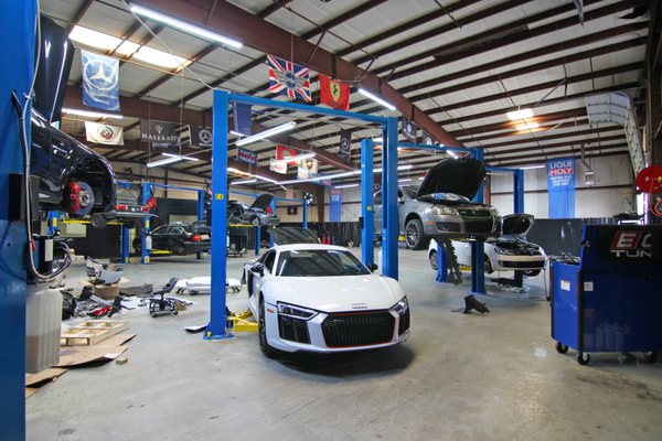 EUROFED AUTOMOTIVE - Updated January 2026 - 121 Photos & 38 Reviews ...