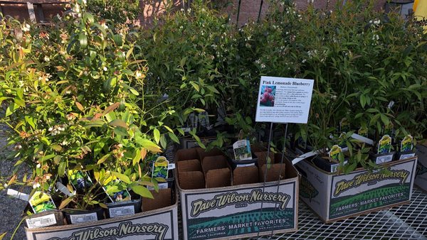 CAL POLY POMONA FARM STORE - Updated August 2025 - 1325 Photos & 220 ...