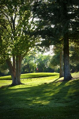 BIDWELL PARK GOLF COURSE - Updated October 2025 - 27 Photos & 25 ...