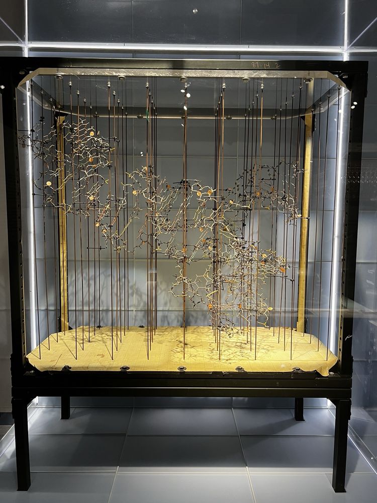 MIT MUSEUM - Updated December 2025 - 409 Photos & 173 Reviews - 314 ...