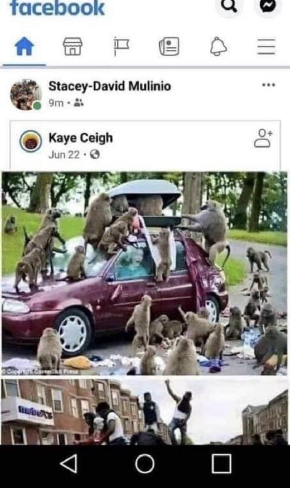 FIELD OF HORRORS - Updated July 2024 - 12 Photos & 11 Reviews - 100 ...