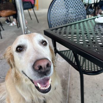 PHIL SANDOVAL’S MEXICAN RESTAURANTE - Updated October 2025 - 170 Photos ...