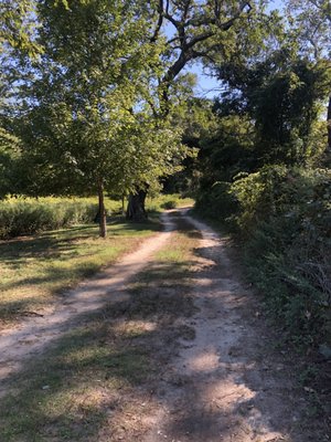 HOYT FARM PARK - Updated September 2024 - 127 Photos & 33 Reviews - 200 ...