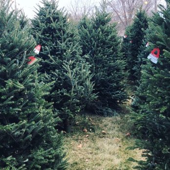 RUM RIVER TREE FARM & NURSERY - Updated December 2025 - 37 Photos & 15 ...