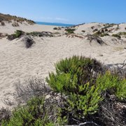 OXNARD BEACH PARK | 254 Photos & 66 Reviews - 4800-5098 Beach Way ...