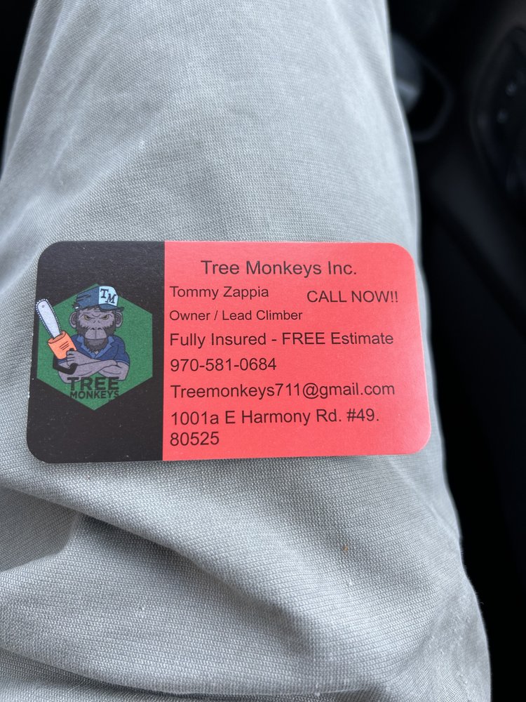 TREE MONKEYS - Updated October 2025 - 1001A E Harmony Rd, Fort Collins ...