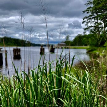 GREAT BRIDGE LOCK PARK - Updated December 2025 - 153 Photos & 18 ...