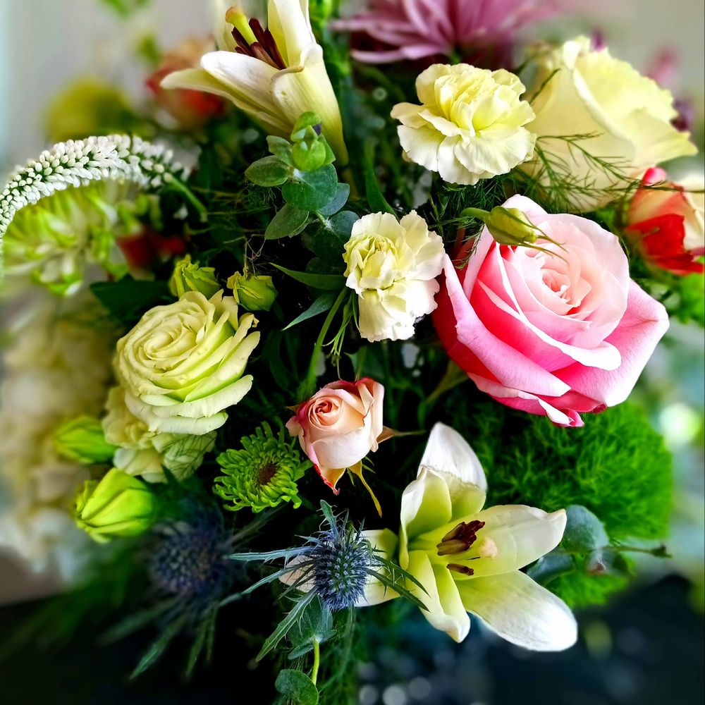 Flowers In Helena Montana | Best Flower Site