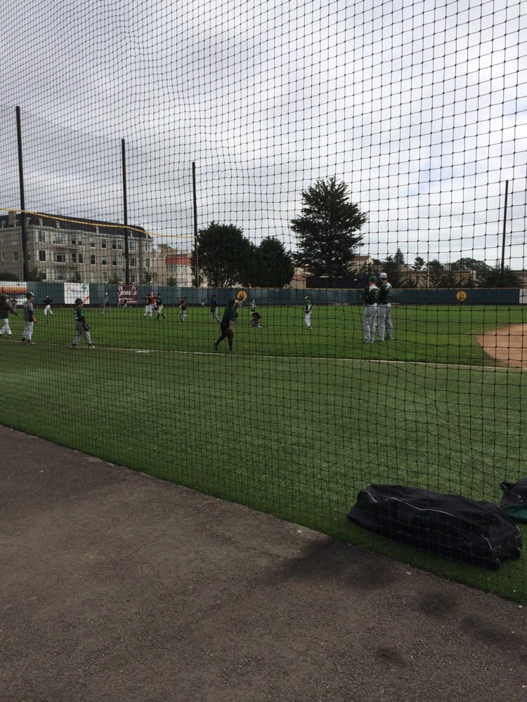 USF BENEDETTI FIELD BENEDETTI DIAMOND - Updated January 2026 - Golden ...