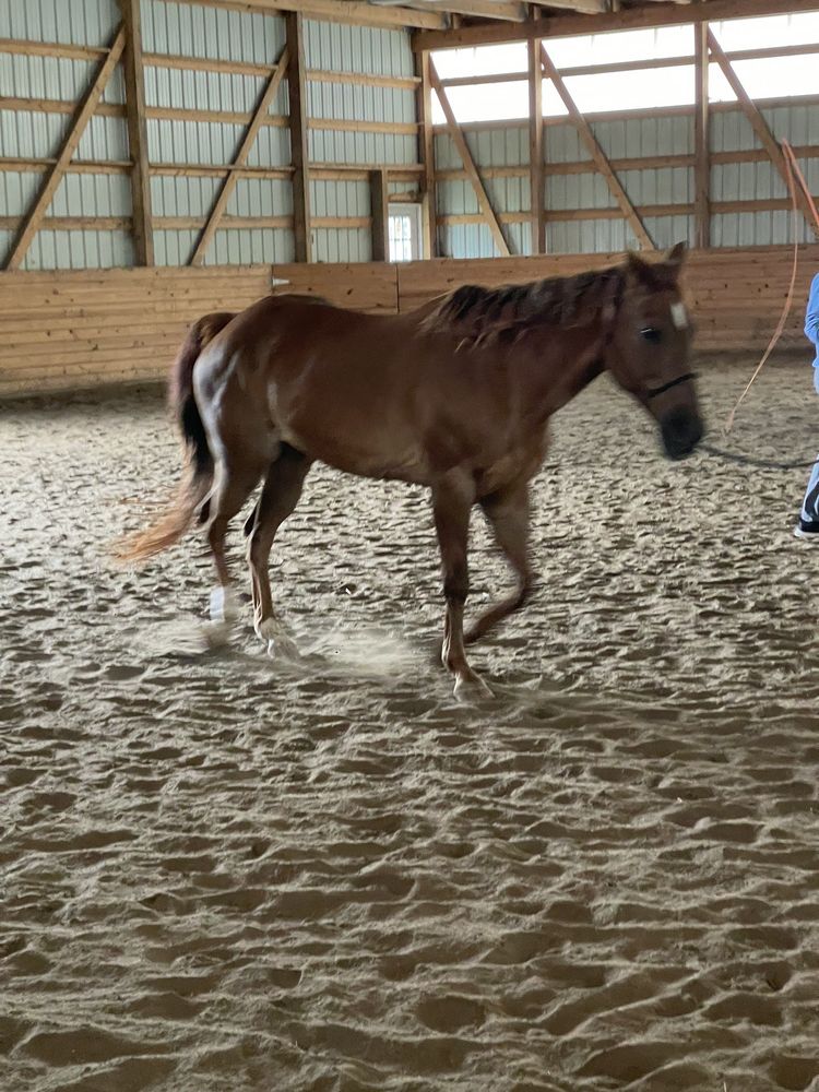 FORBES RANCH KC, LLC - Updated November 2025 - 42 Photos - 11221 E ...