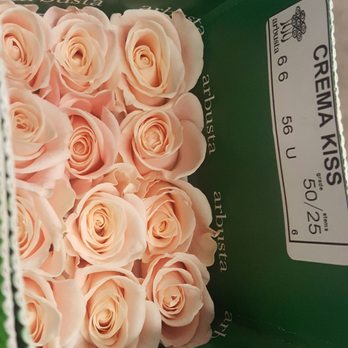 MAYESH WHOLESALE FLORIST - Updated October 2025 - 17 Photos & 11 ...