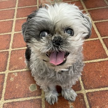 DR. BUTCHKO - 41 Photos & 67 Reviews - 5448 Mission Blvd, Riverside ...