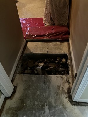 Peterman Brothers - Updated December 2025 - 62 Photos - 180 Reviews ...