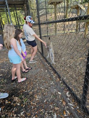 XTREME EXOTICS WILDLIFE FOUNDATION - Updated October 2024 - 32 Photos ...