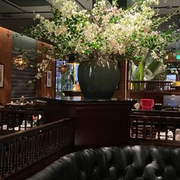 STAR LEAF - Updated December 2025 - 3334 Photos & 810 Reviews - 641 E ...