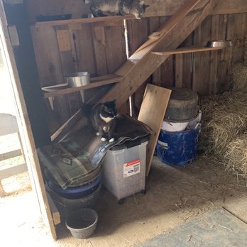 SNEADS FARM - Updated December 2025 - 91 Photos & 41 Reviews - 18294 ...