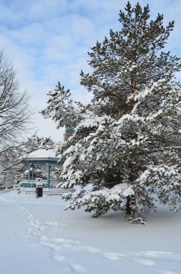 GRANT NOTLEY PARK - Updated April 2024 - 15 Photos - 11603 100 Ave NW ...