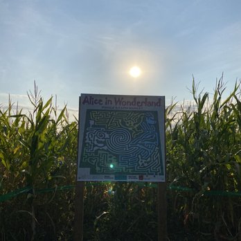 PINGLE’S FARM MARKET - Updated October 2025 - 96 Photos & 20 Reviews ...