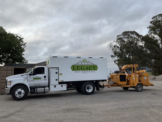 LEGACY TREE SERVICE - Updated January 2026 - 35 Photos - 1027 Kenmore ...