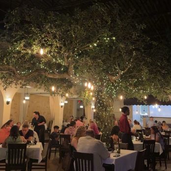 FIREFLY - Updated March 2025 - 1751 Photos & 1482 Reviews - 535 Richard ...