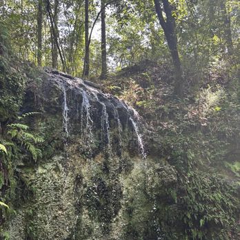 FALLING WATERS STATE PARK - Updated October 2025 - 214 Photos & 59 ...