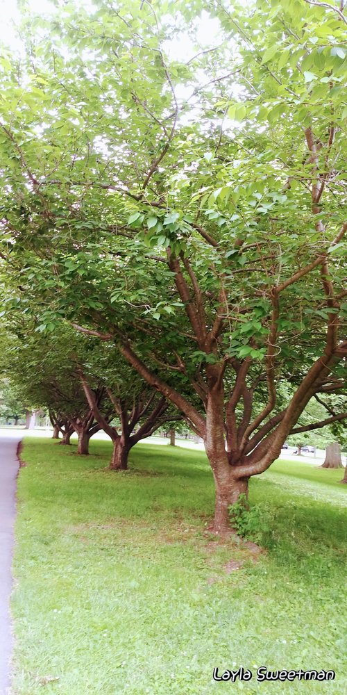 RAHWAY POOL - Updated June 2024 - Rahway, New Jersey - Swimming Pools ...