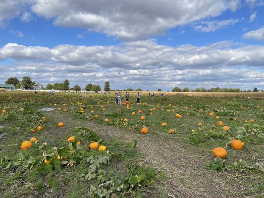 SMITH FAMILY FARMS - 28 Photos - 7055 W 675th S, Pendleton, IN - Yelp