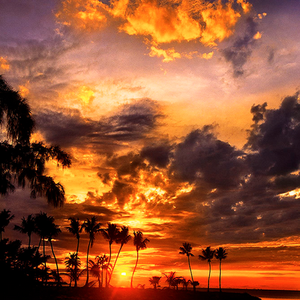 DELZER LITHOGRAPH - Updated December 2024 - 510 S West Ave, Waukesha ...