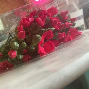 PHALCHA - Updated June 2025 - 230 Photos & 80 Reviews - 1001 Mary St ...