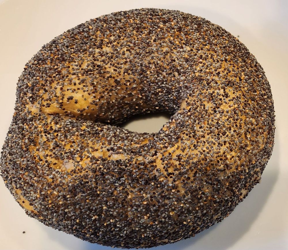 THE BLUE HOUSE BAGEL CO. & CAFE - Updated July 2025 - 238 Photos & 121 ...