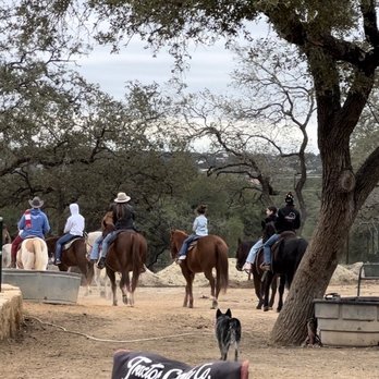 HOLLOW TREE RANCH - Updated October 2025 - 58 Photos & 53 Reviews - 789 ...