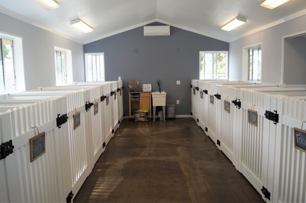 MARANDA RANCH KENNELS - Updated October 2025 - 34 Photos & 31 Reviews ...
