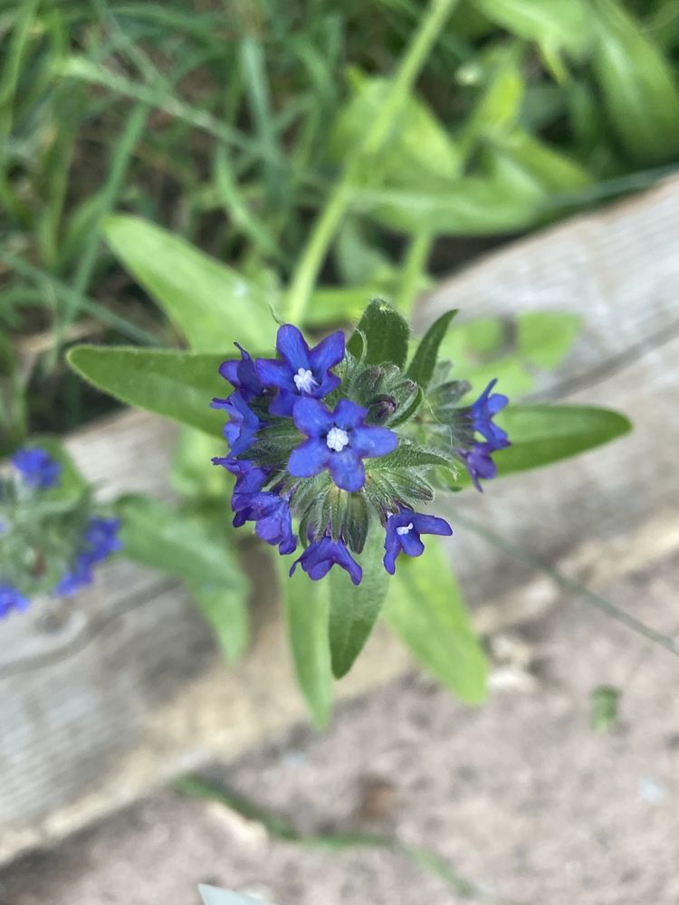 EBEN FINE PARK - Updated January 2026 - 71 Photos & 14 Reviews - 4TH ...