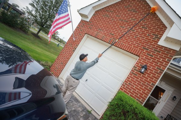 PEST NOW OF VIRGINIA - Updated December 2025 - 25 Photos & 243 Reviews ...