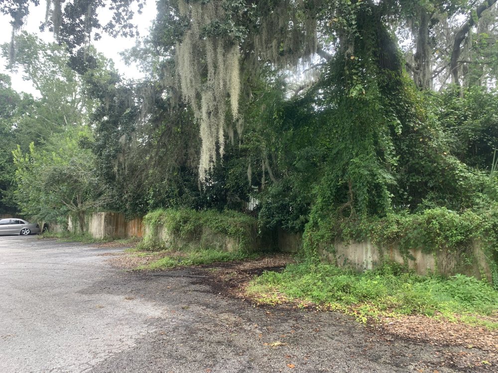SUNSHINE LANDSCAPING PLUS - Updated May 2026 - Tampa, Florida ...