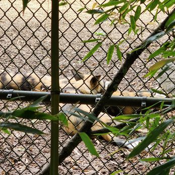 ZOO KNOXVILLE - Updated March 2025 - 451 Photos & 155 Reviews - 3500 ...