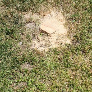 THE MCDONALD’S TREE & LANDSCAPING - Updated December 2025 - 22 Photos ...