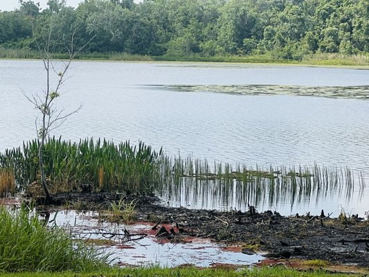 RED BUG LAKE PARK - Updated July 2025 - 304 Photos & 40 Reviews - 3600 ...