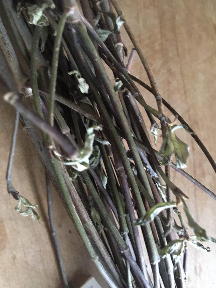 COLD STREAM FARM - Updated May 2024 - 13 Photos - 8585 N Stephens Rd ...