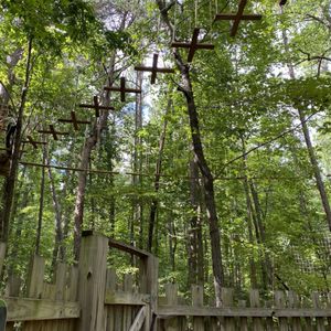 GO APE ZIPLINE & ADVENTURE PARK - 105 Photos & 78 Reviews - Challenge ...