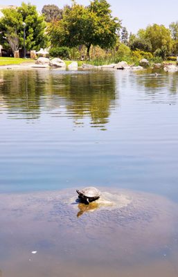 WEBB PARK - Updated December 2025 - 147 Photos & 44 Reviews - Avena Pl ...