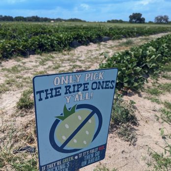 ROCKBERRY RANCH - Updated September 2025 - 159 Photos & 22 Reviews ...