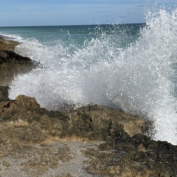 BLOWING ROCKS PRESERVE - Updated October 2025 - 548 Photos & 99 Reviews ...