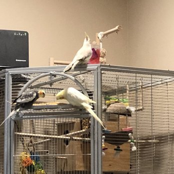 Magnolia Bird Farm - 121 Photos & 149 Reviews - Pet Stores - 8990 ...